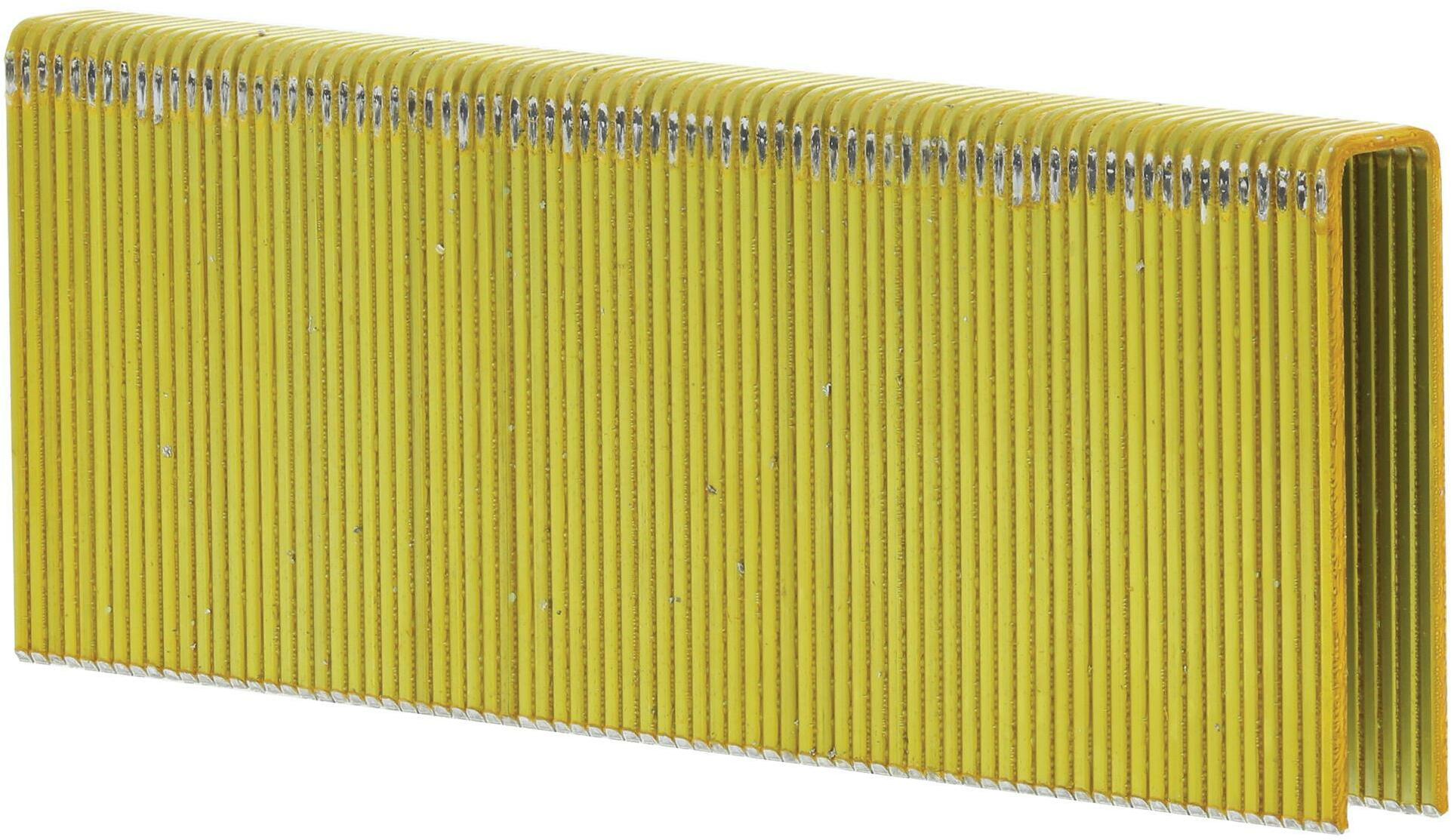 HAUBOLD 650406 staples KG700-60 C-point galvanised in box (5400 pcs ...