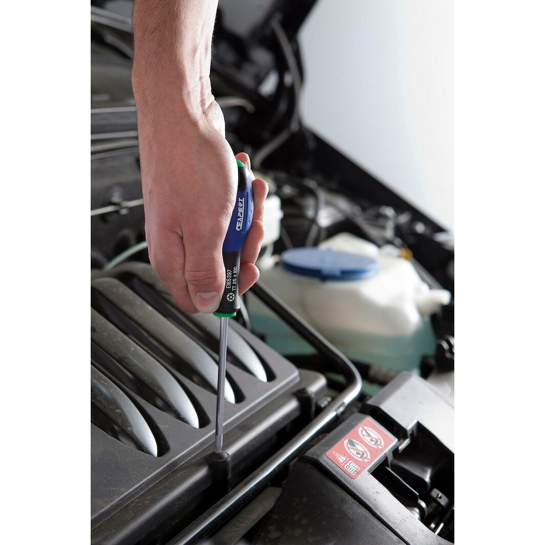 EXPERT E165340 schroevendraaier Resistorx TT10x75 mm | Klium