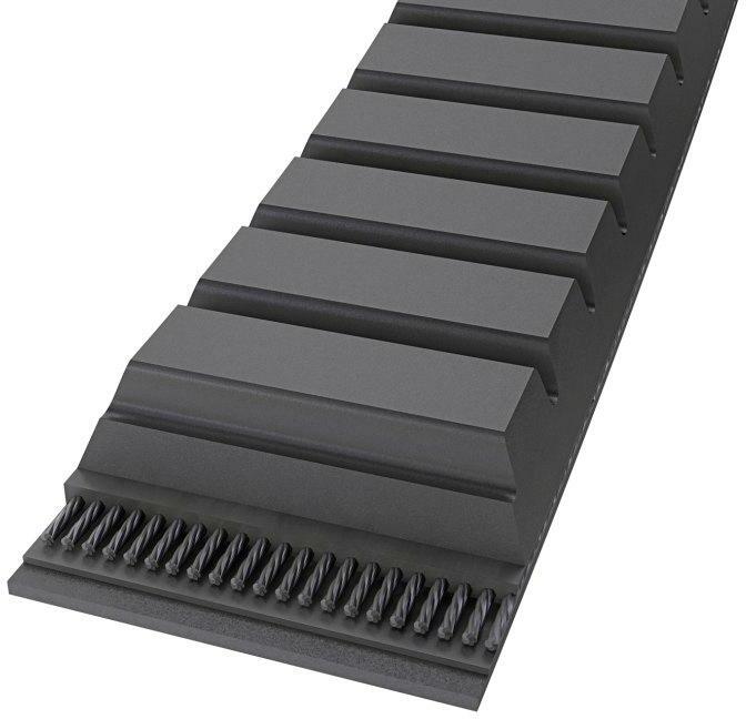 CONTI 22.0X8.0X900 courroie de variateur 22.0/ 8.0x 900 conti v ...