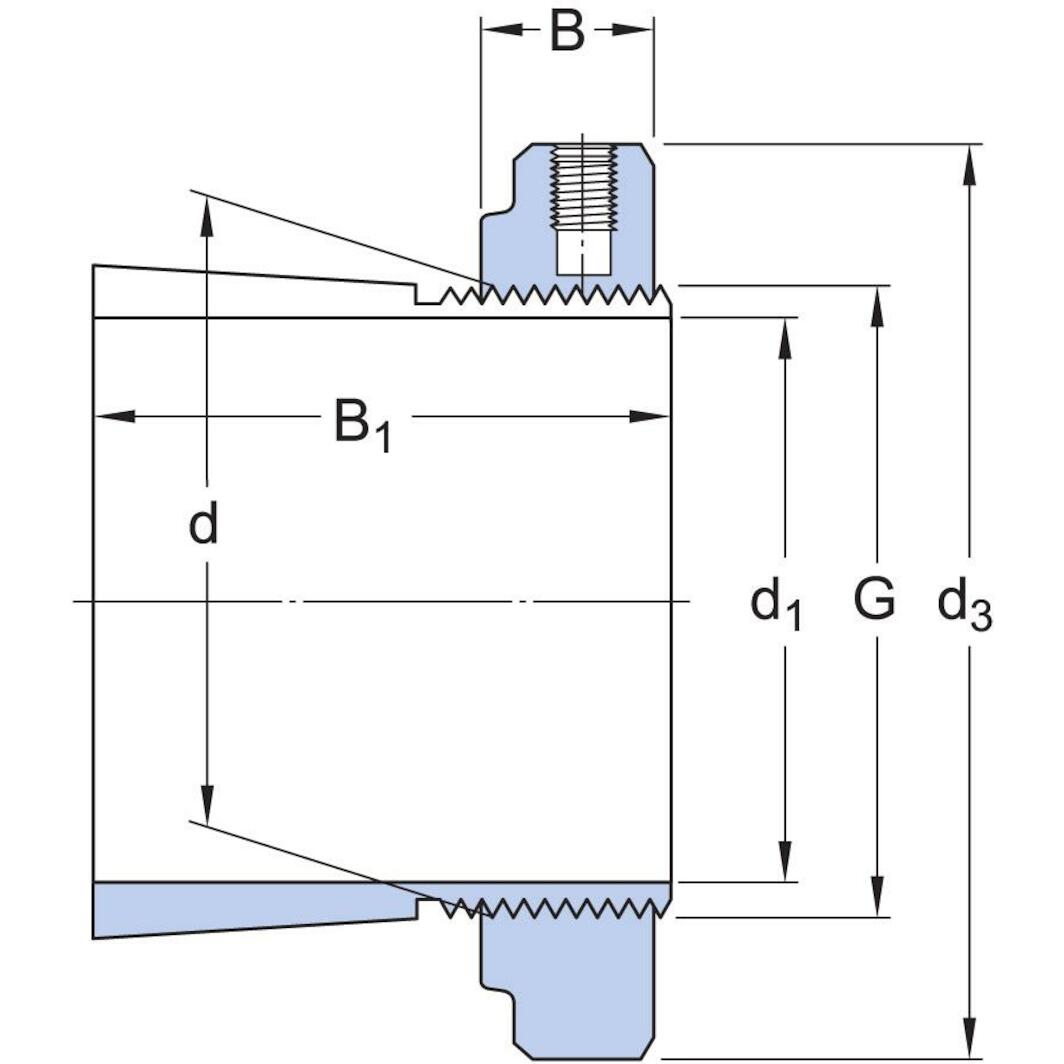 SKF H 313 E douille de serrage pour arbres métriques 60 x 50 mm M65x2 ...