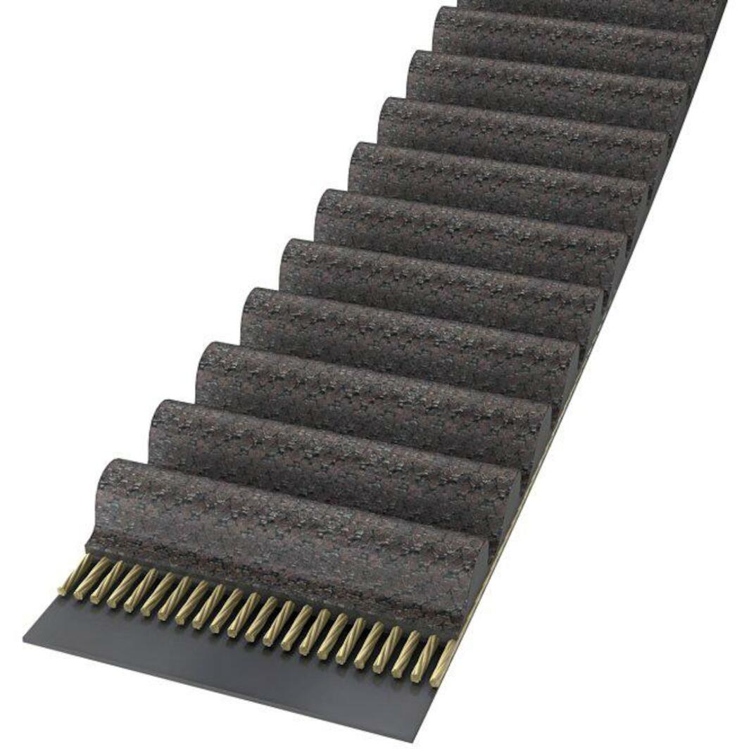 CONTI HTD 1280 8M 30 CXA Conti Synchroforce CXA tandriem ...